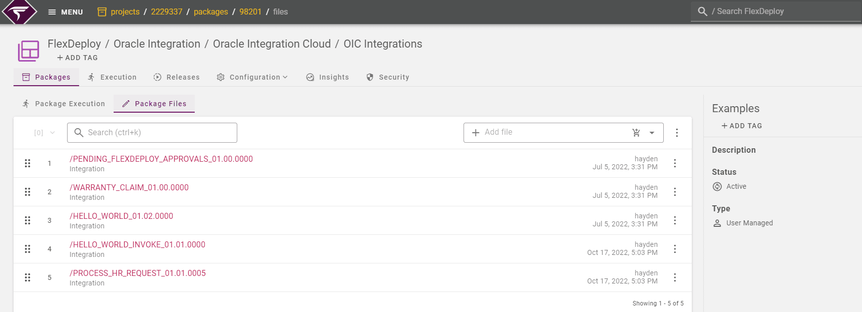 Oracle Integration Cloud Partial Deployments With Flexdeploy Flexagon